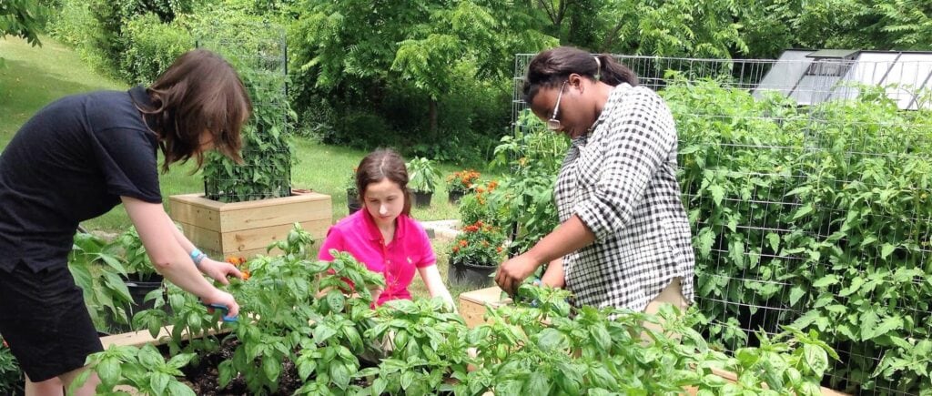 Credentialing Programs | Maplebrook School